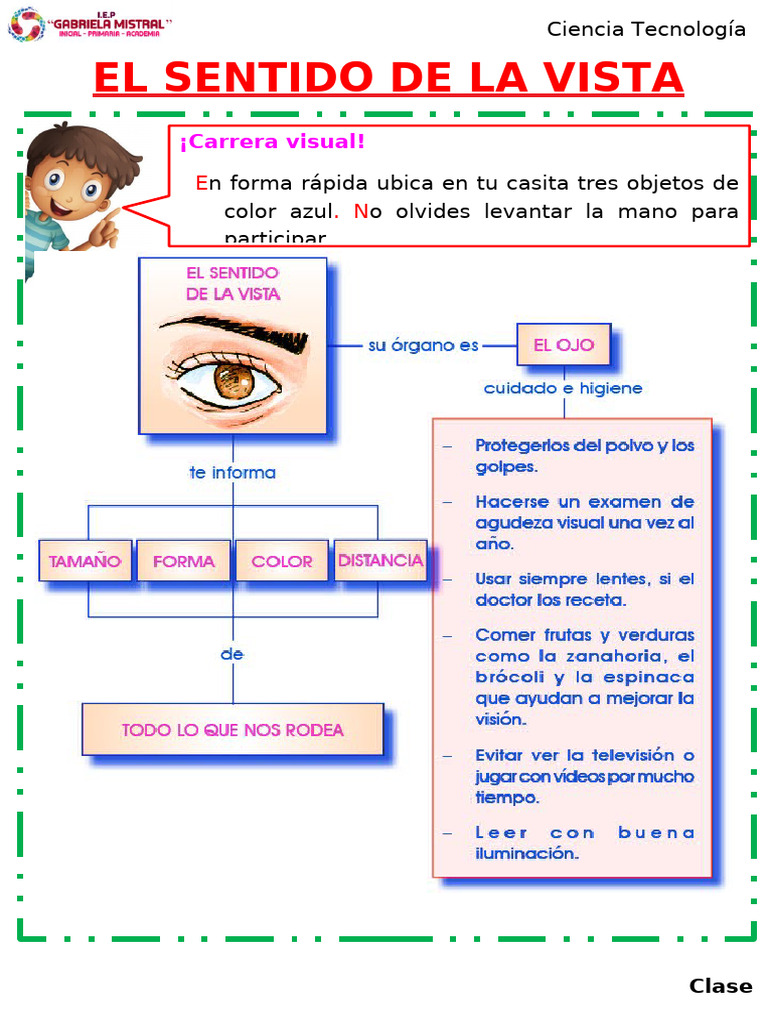 EL SENTIDO DE LA VISTA Clase | PDF