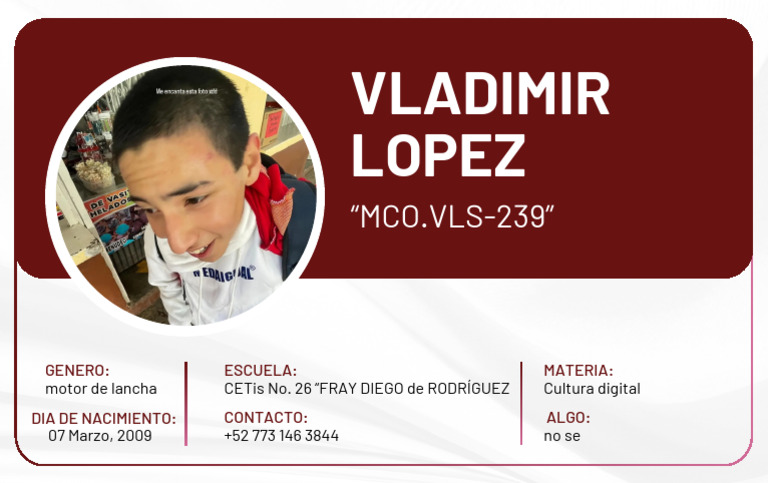 Red Modern School ID Card | PDF