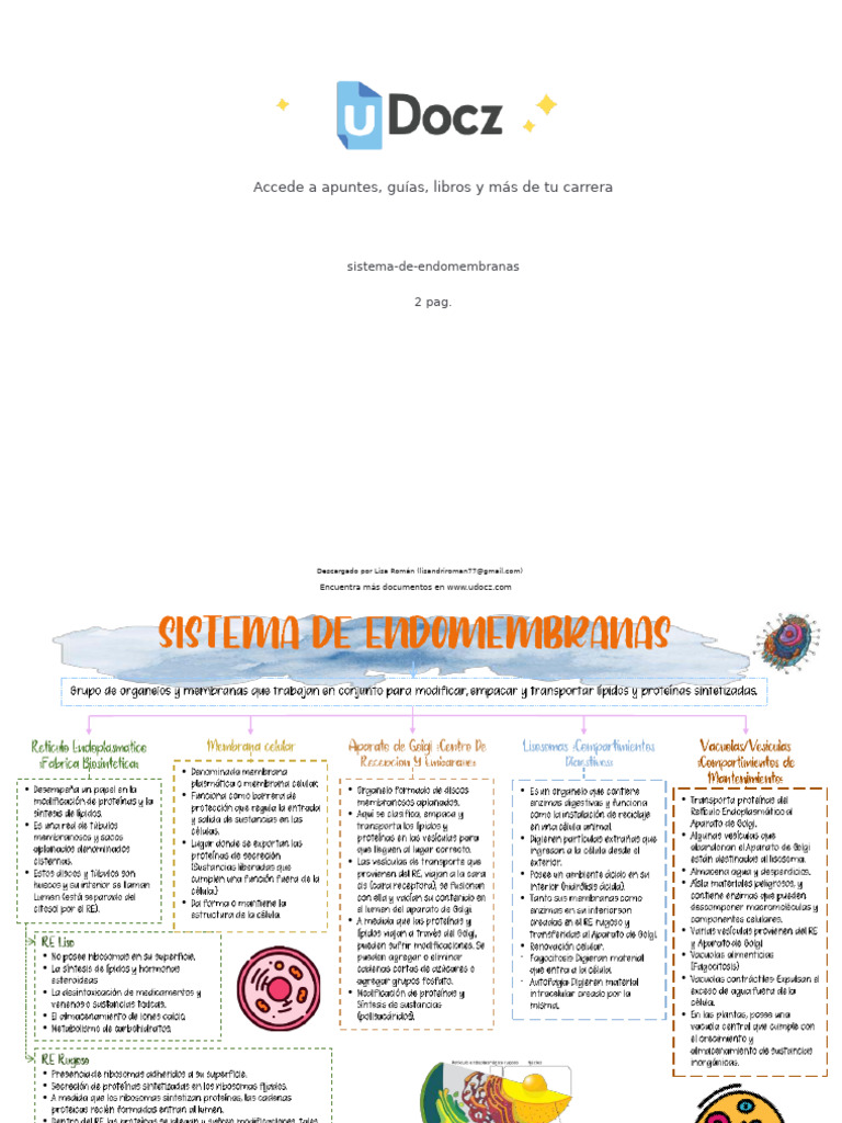 Sistema de Endomembranas 200076 Downloable 2966052 | PDF | Biología de ...