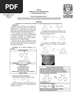 BENZAMINA | PDF | Amida | Amoníaco