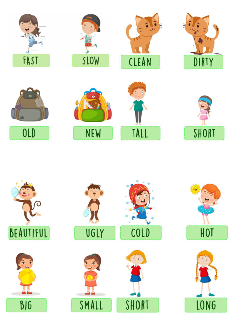 Opposite Adj Flashcards | PDF