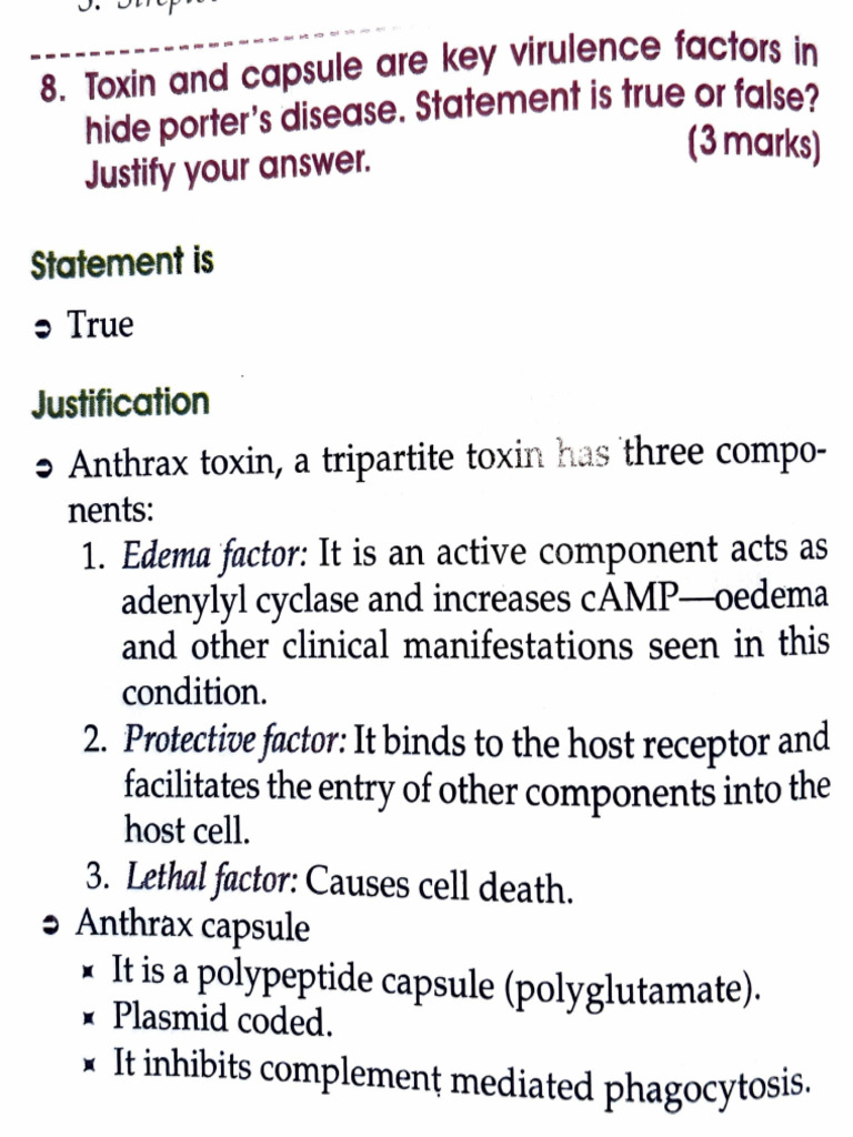 How To Answer A Very Short Note | PDF