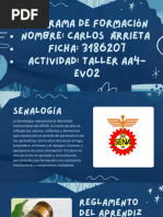 Plan de Accion GA4 | PDF