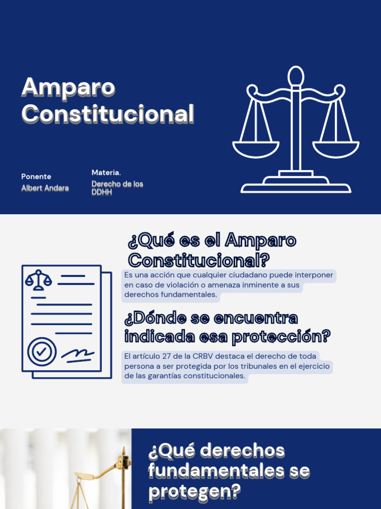 Amparo Constitucional | PDF