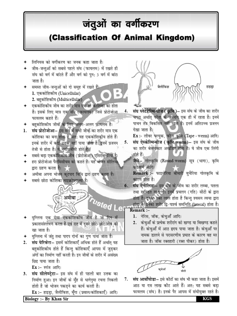 Classification of Animal Kingdom | PDF | Biology | Organisms