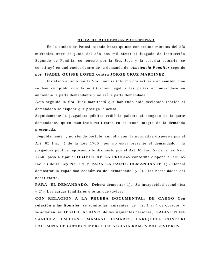 Acta Ad. Preliminar - Complentaria | PDF