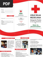 Claves Operativas de Cruz Roja | PDF