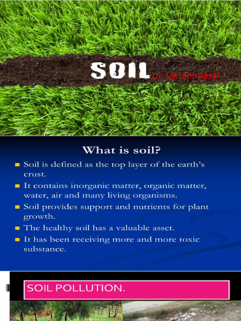 Soil Pollution | PDF