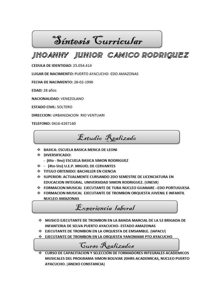 Curriculum Junior Camico | PDF