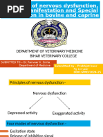 Ataxia Rating Scale Guide | PDF | Neurology | Neurological Disorders