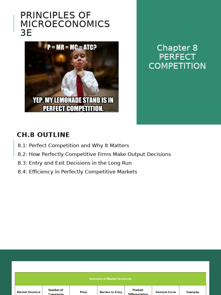 Understanding Perfect Competition Principles | PDF | Perfect ...