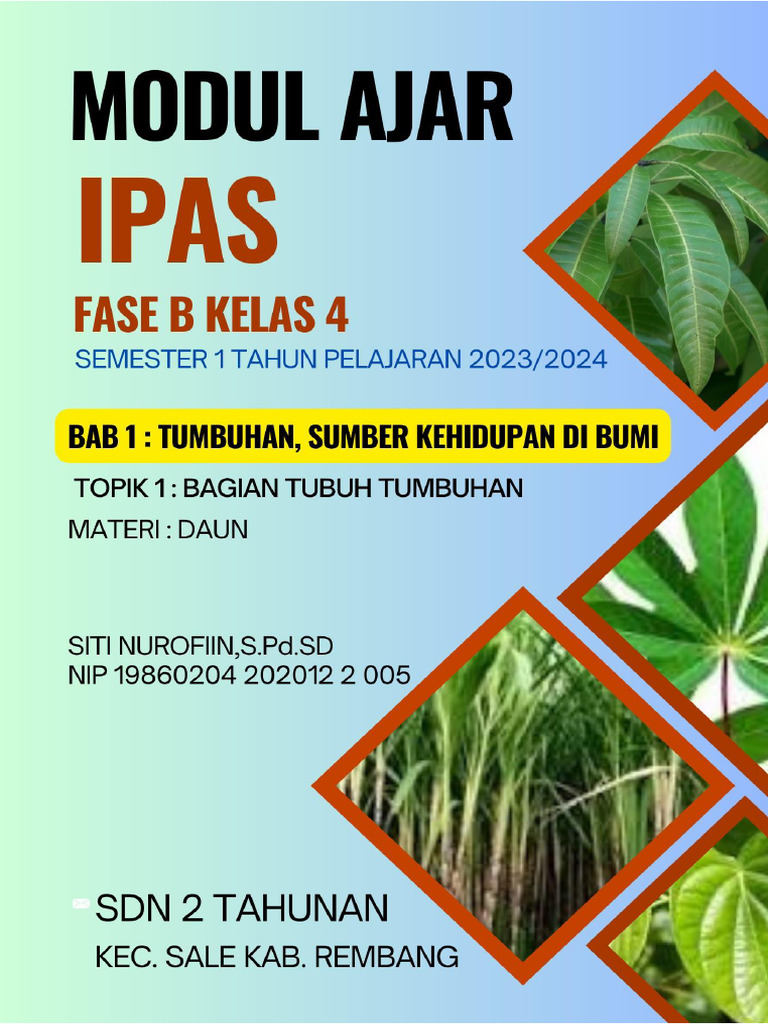 Modul Ajar Ilmu Pengetahuan Alam Dan Sosial (IPAS) - BAB 1 TUMBUHAN SUMBER KEHIDUPAN DI BUMI ...