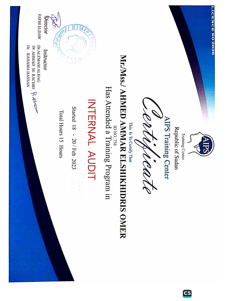 Internal Audit | PDF