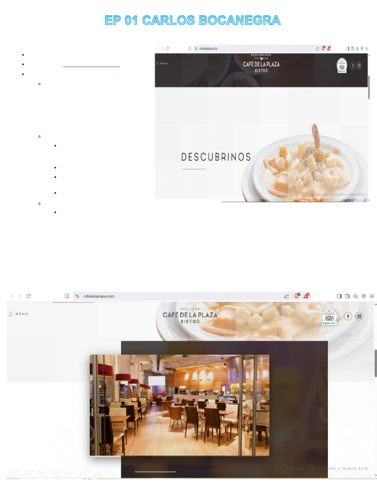 EP01 DiseWeb CarlosB | PDF | Usabilidad | Informática
