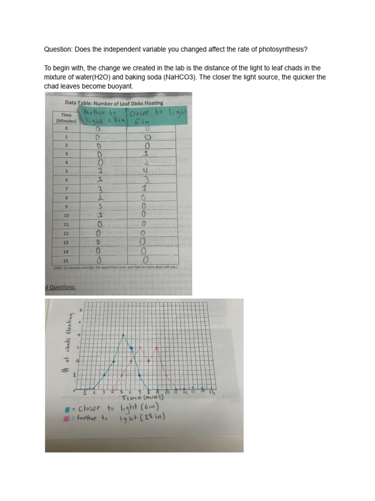 Photosynthesis Lab CER | PDF