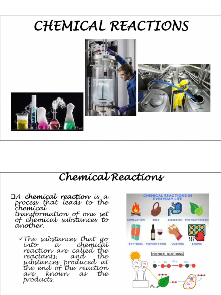 Chemical Reactions and Reactors Notes (Part One) | PDF
