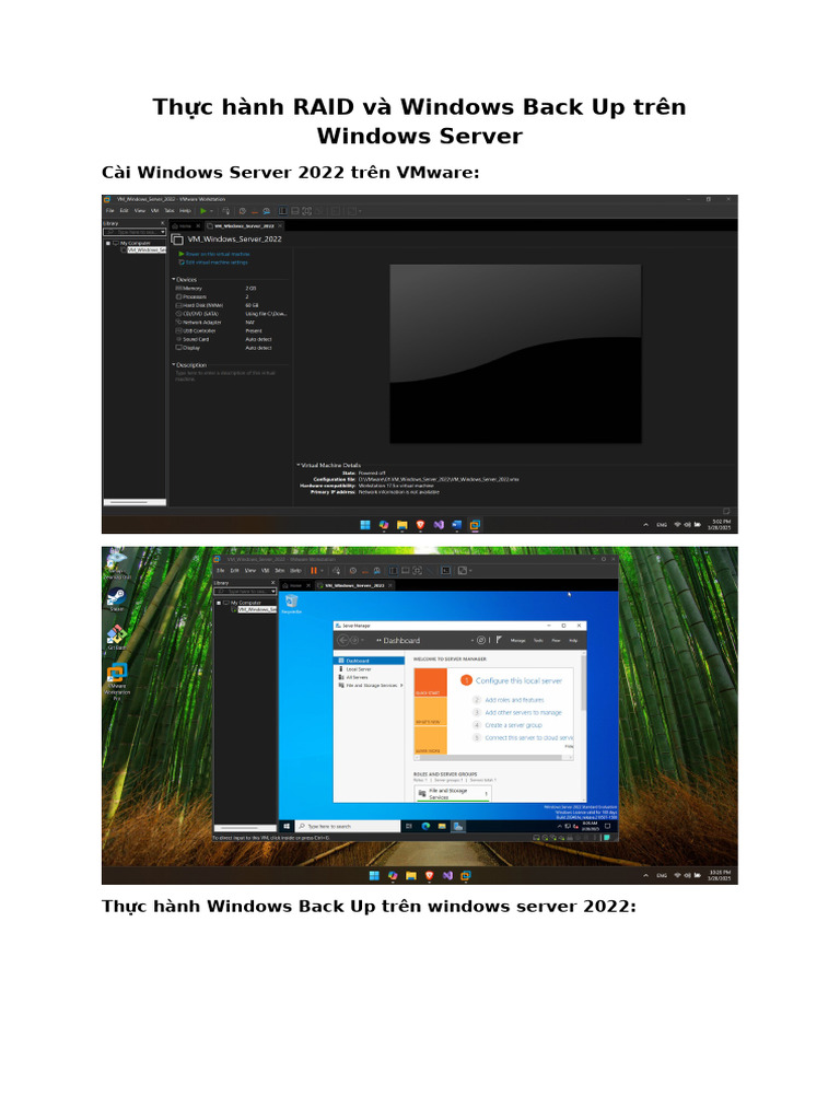 TH C Hành RAID Và Windows Back Up Trên Windows Server | PDF