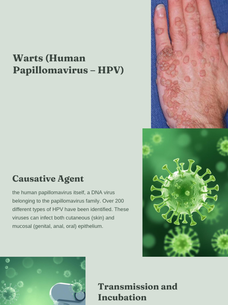 Understanding HPV and Genital Warts | PDF | Medicine | Diseases And ...