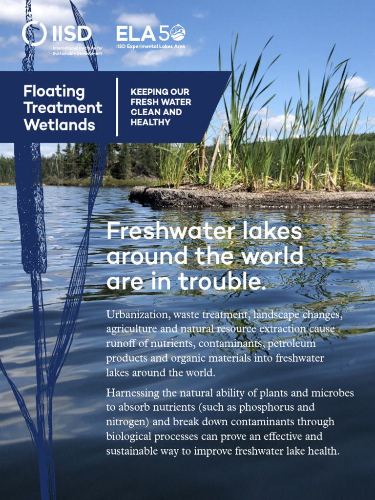 Floating Treatment Wetlands for Clean Water | PDF | Wetland | Surface ...