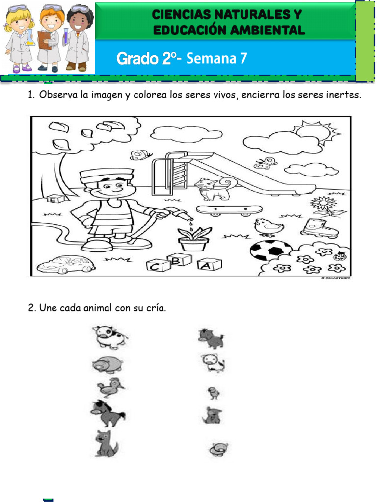 Caracteristicas de Los Animales 7 | PDF