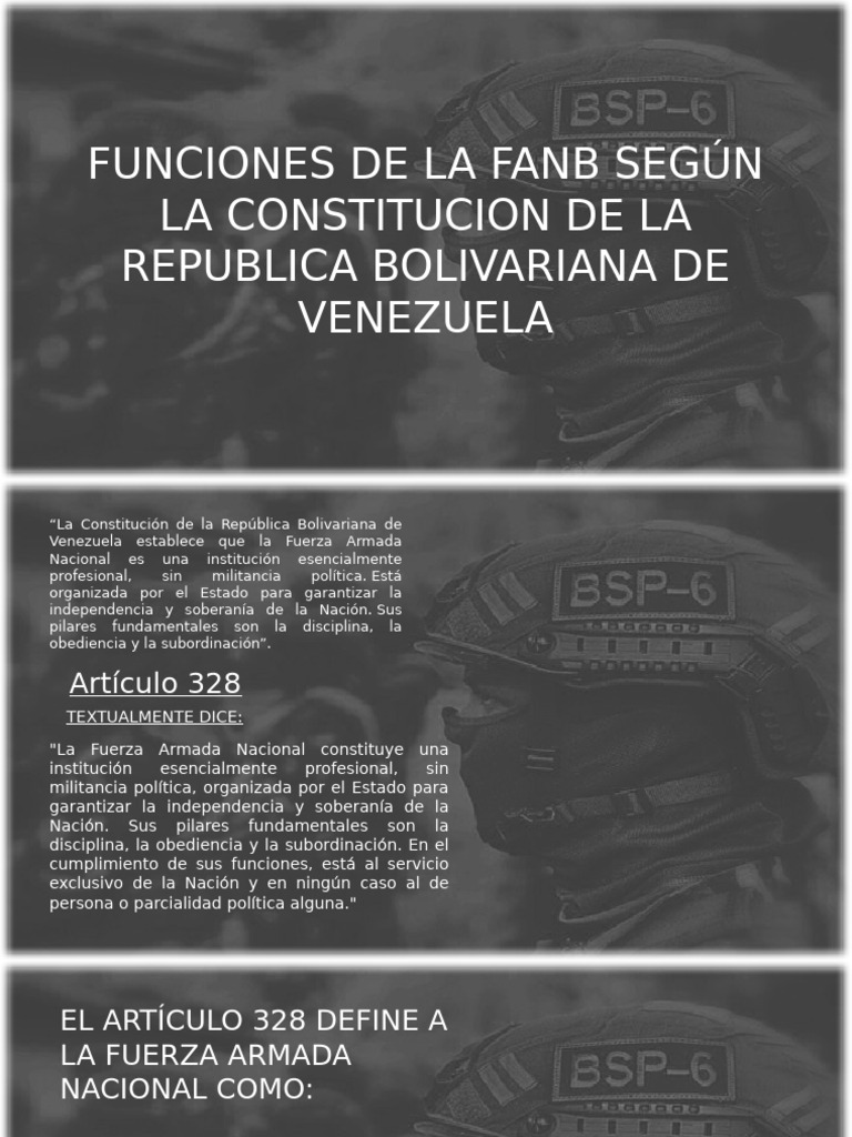 Funciones de la FANB según Art. 328 | PDF