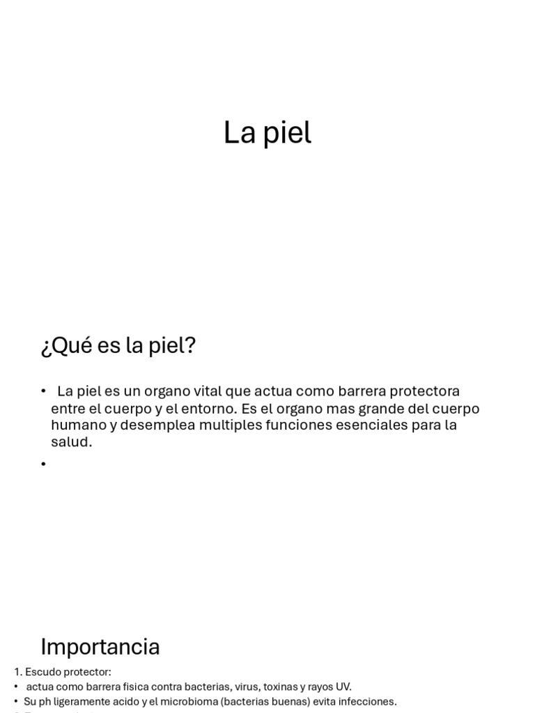 Funciones y Estructura de la Piel | PDF | Piel | Órgano (anatomía)