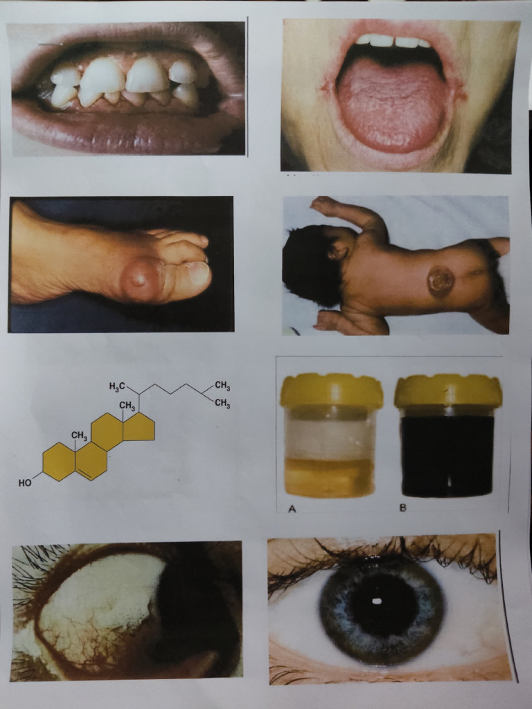 Biochem Spotter | PDF