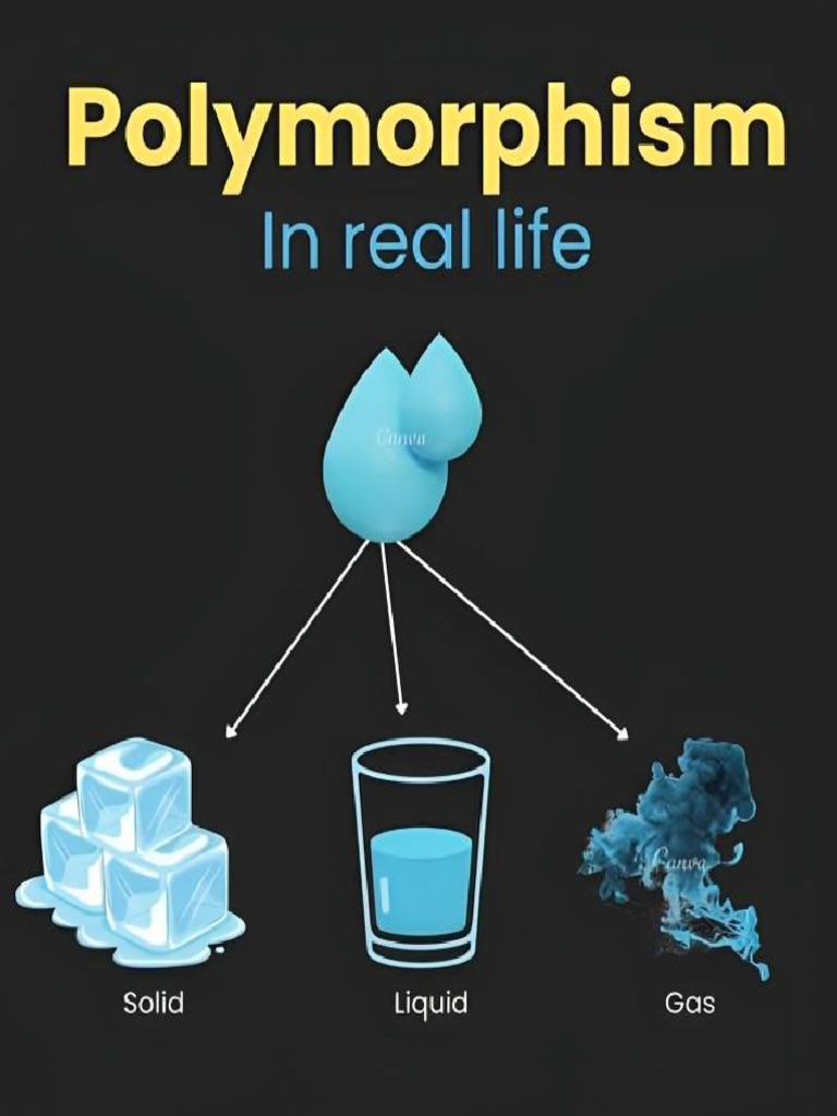 Polymorphism in Real Life 1726998990 | PDF