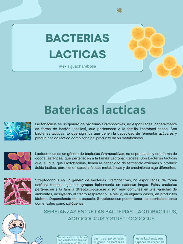 Bacterias Lacticas | PDF | Las bacterias | Ácido láctico