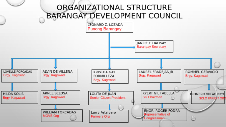 Barangay Development Council Structure | PDF