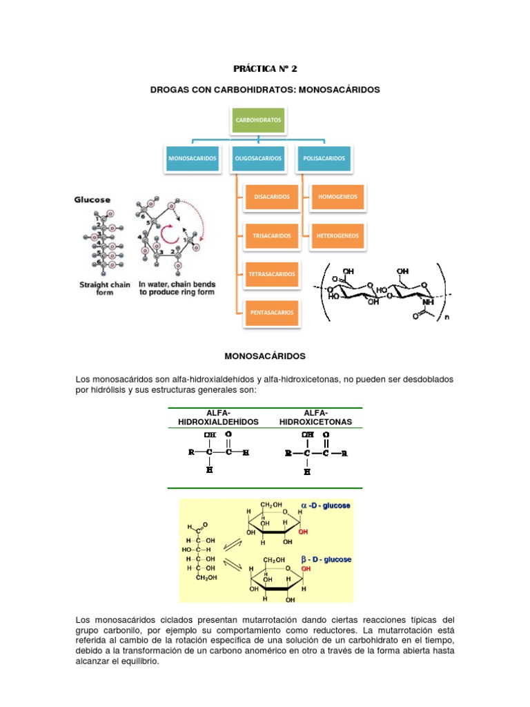 Practica 01 Monosacaridos | Carbohidratos | Química Orgánica