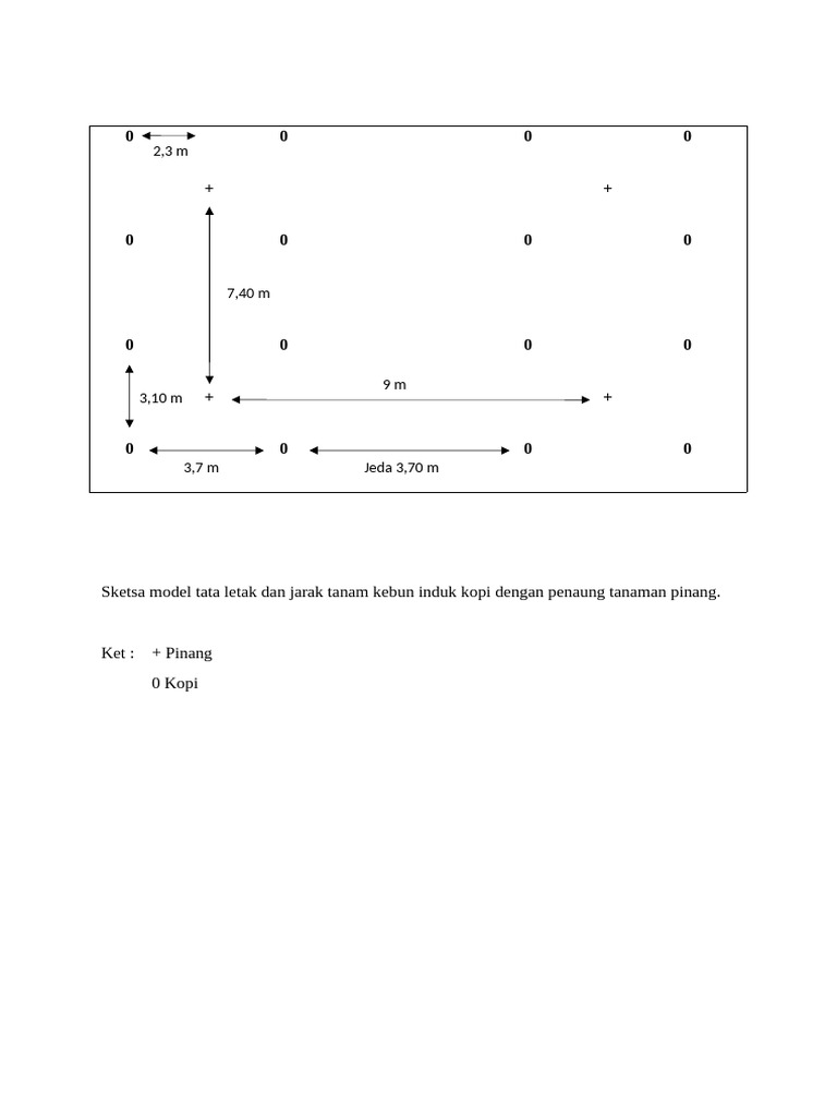 Sketsa Kopi Pinang | PDF