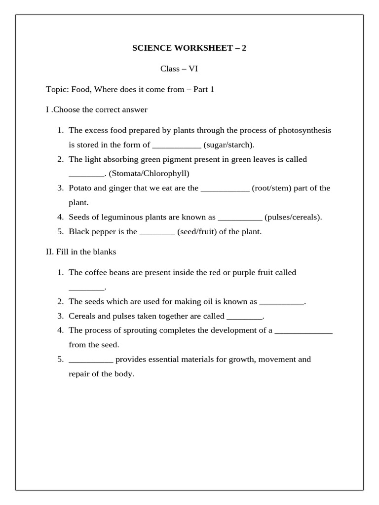 Worksheet - Food Where Does It Come From | PDF