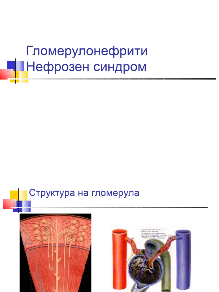 Glomerulonefrit Nefrozen Sindrom | PDF