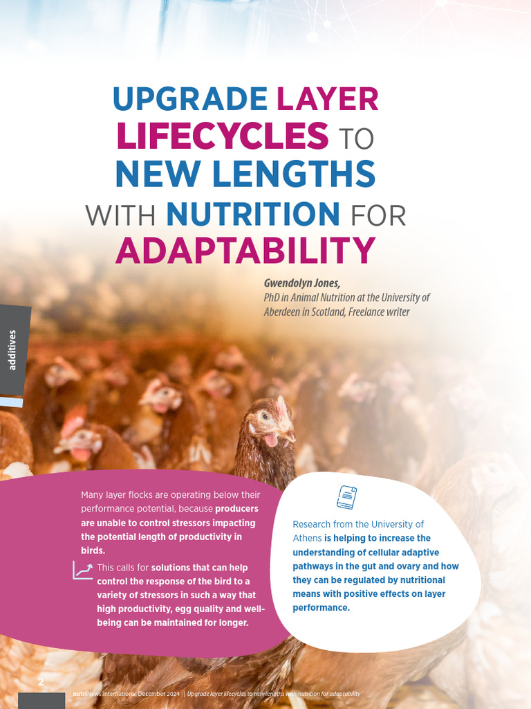 1024 Upgrade Layer Lifecycles v3 | PDF | Antioxidant | Reactive Oxygen Species