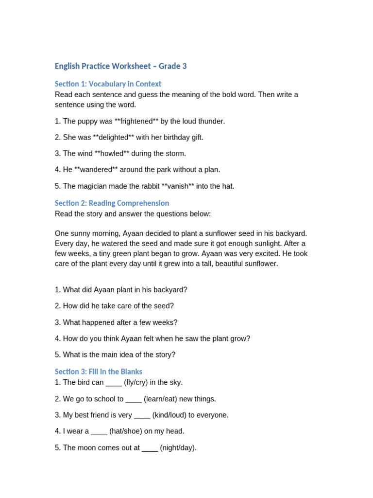 Grade3 English Practice Worksheet | PDF