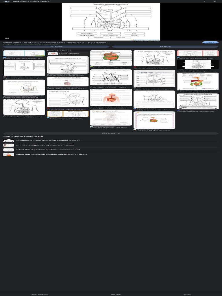 Questions For Labelling Digestive System Diagram | PDF | Digestive ...