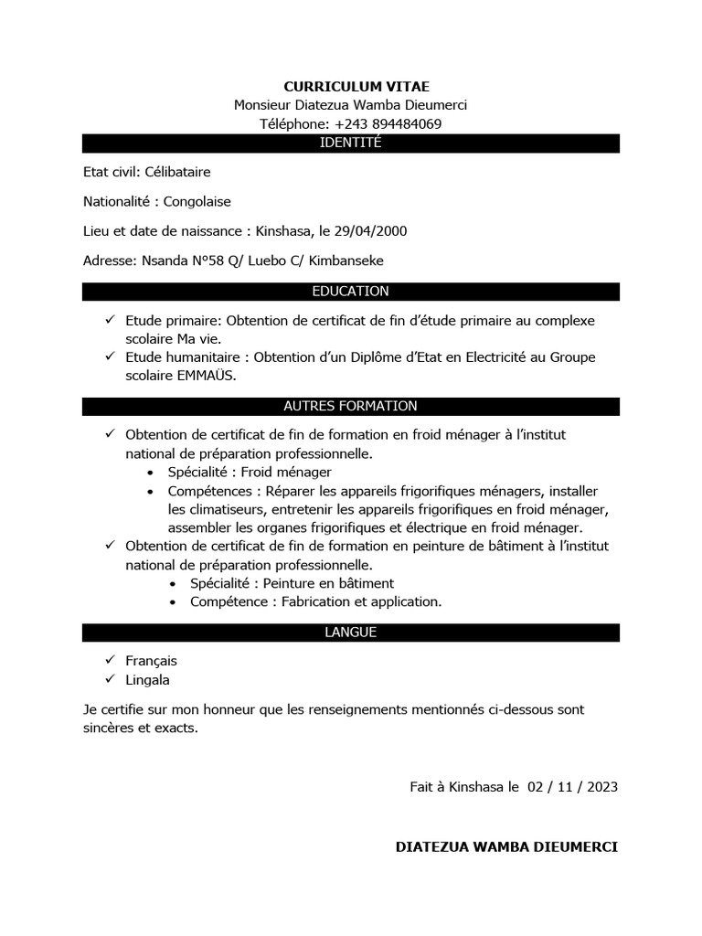 CV de Diatezua Wamba Dieumerci | PDF