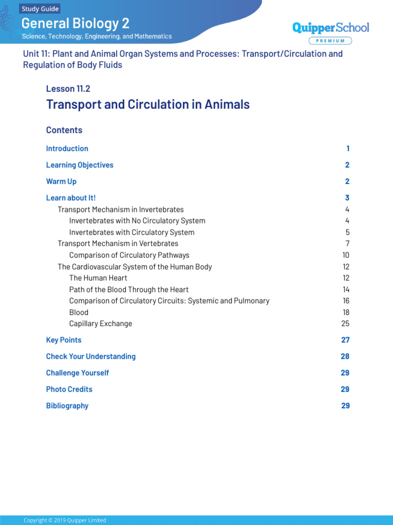 3 - Cardiovascular System | PDF | Heart Valve | Circulatory System