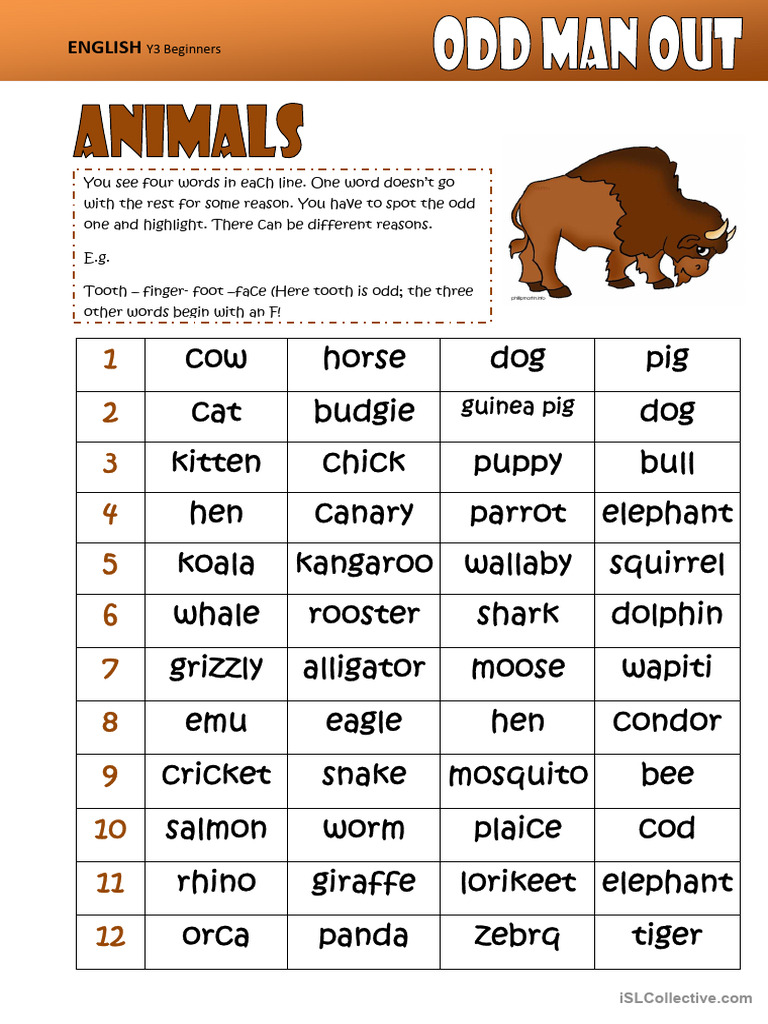 Odd One Out Activity for Y3 Students | PDF