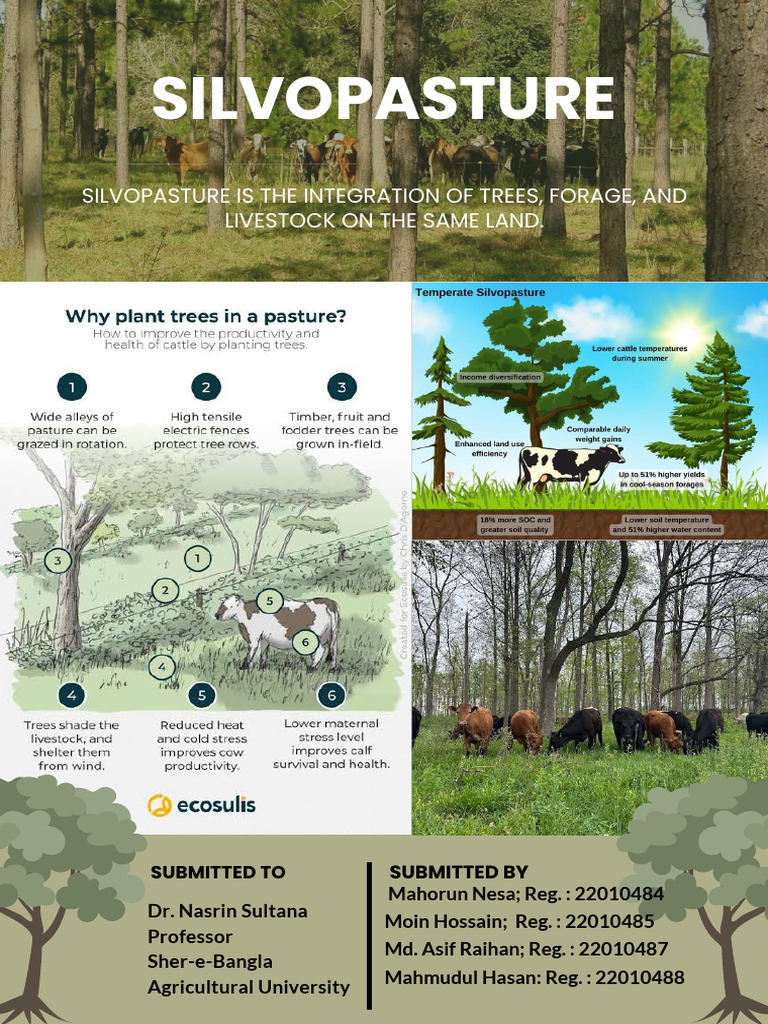 Green and Brown Modern Simple Minimalist Benefit of Trees Infographic ...