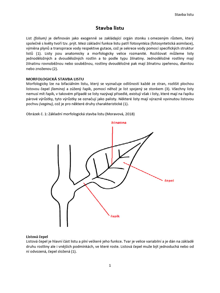 2220 42 Stavba Listu | PDF