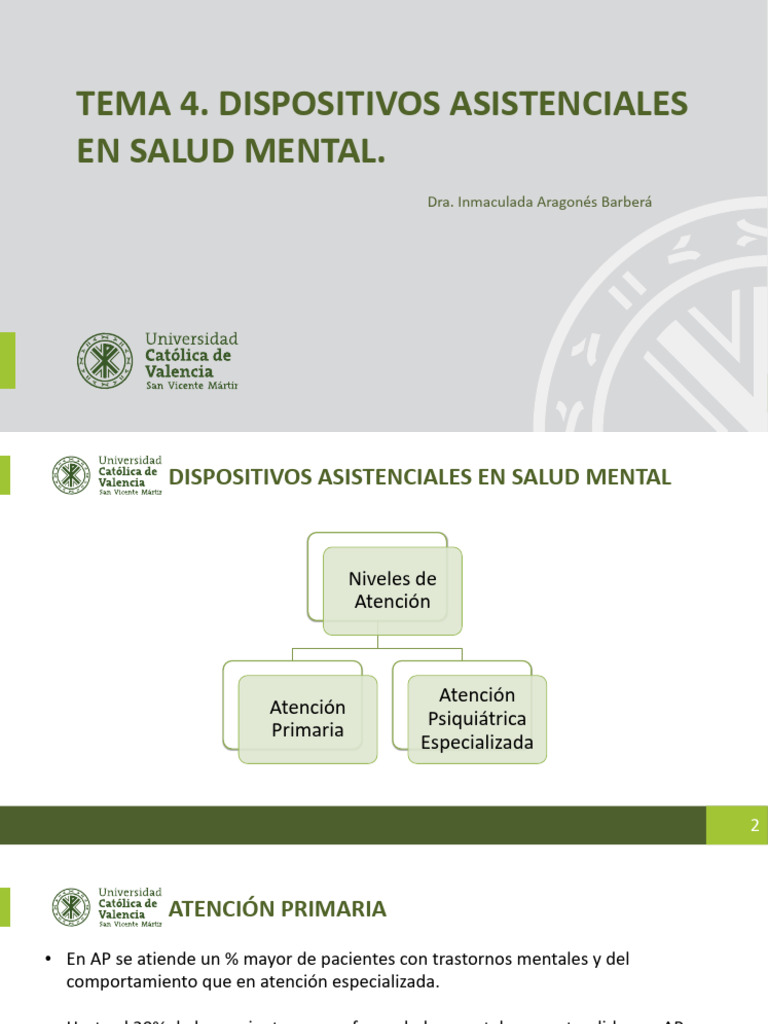 Tema 4. Dispositivos Asistenciales en Salud Mental | PDF | Trastorno ...
