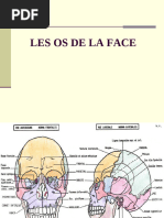 6 - Anatomie Des Os de La Face | PDF | Anatomie humaine | Appareil ...