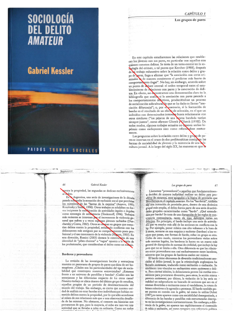 Kessler - Sociología Del Delito Amateur (Selección) | PDF