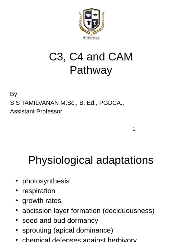 Unit 1 - C3, C4 and CAM Pathway | PDF | Photosynthesis | Biology