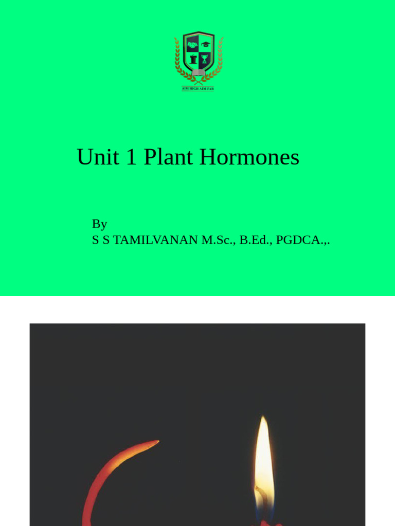 Unit 1 - Plant Hormones | PDF | Plant Hormone | Auxin