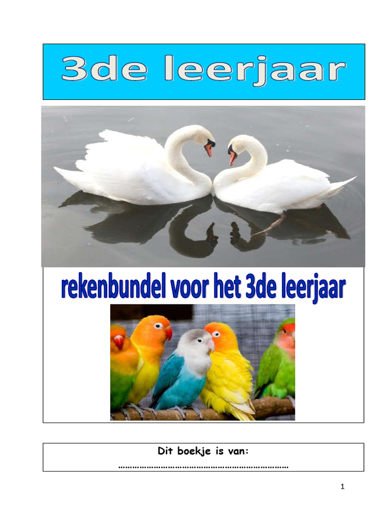 Rekenbundeltje 3de Leerjaar Week 6 7 8 | PDF