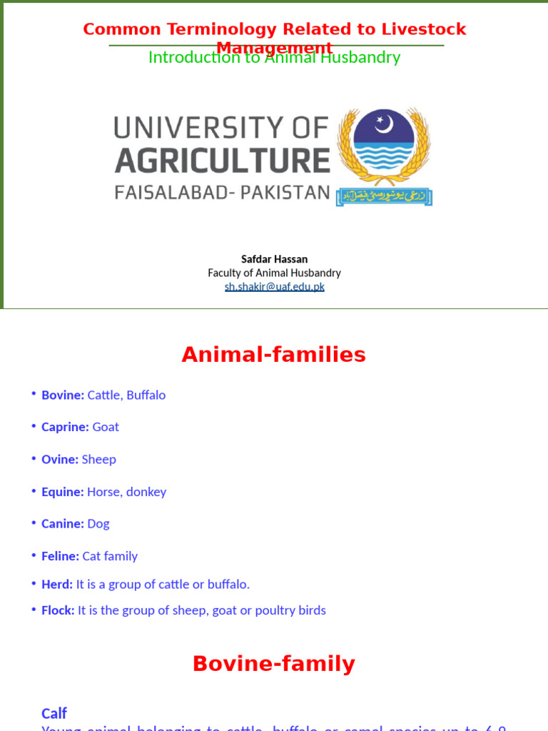 2 - Common Terminologyy Related To Livestock Management | PDF | Sheep | Cattle