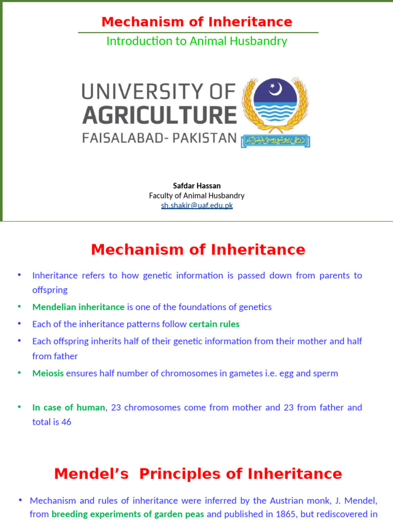 2 - Mechanism of Inheritance | PDF | Nucleotides | Rna